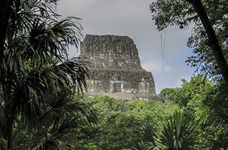 Tour to Tikal From Antigua Guatemala | Collective & Private Tours